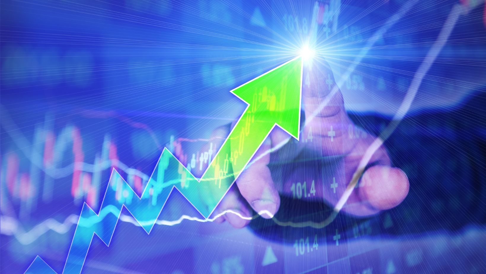 Basic Knowledge Needed on How to Invest in Black Box Stocks