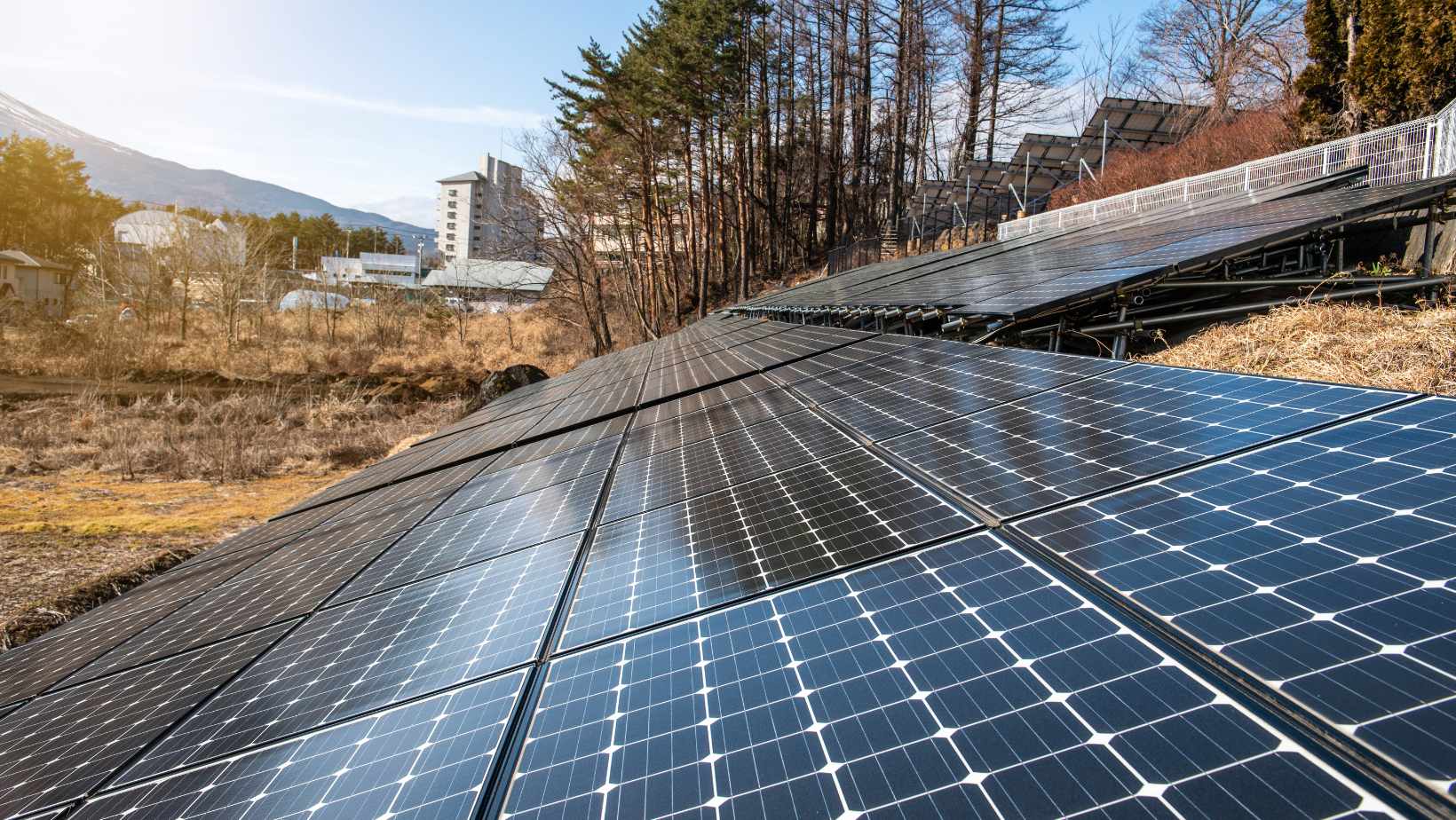 How to Invest in a Solar Farm: A Wise Renewable Energy Investment ...